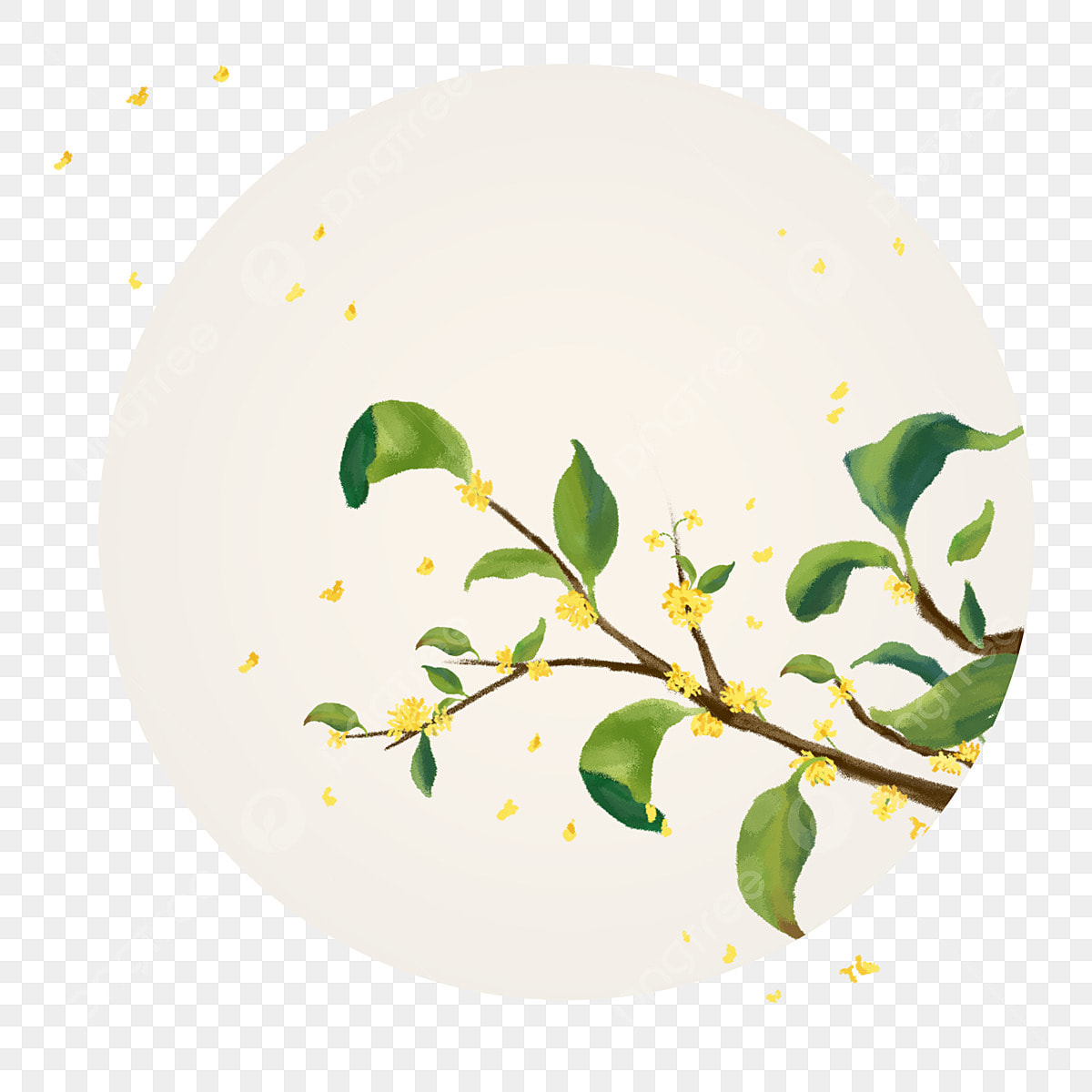 Osmanthus Falling PNG, Vector, PSD, and Clipart With Transparent ...